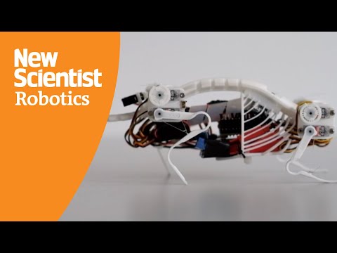 Deze Muis-Robot Heeft een 3D Geprinte Wervelkolom - 3D Printing Nederland